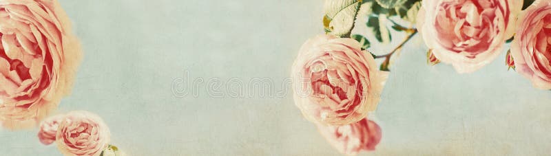 303 Spring Nature Blossom Web Banner Header Stock Photos - Free ...