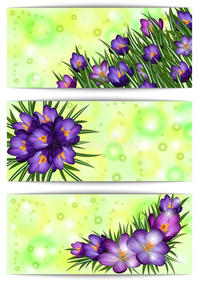 Banners with Crocus Flowers Stock Vector - Illustration of design ...
