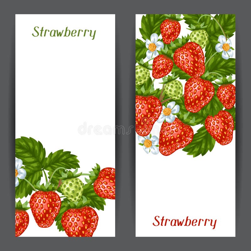 Banners with Red Strawberries. Illustration of Berries and Leaves Stock ...