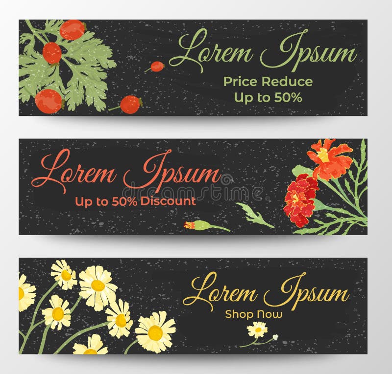 Banners with Sample Text and Floral Composition Stock Vector ...