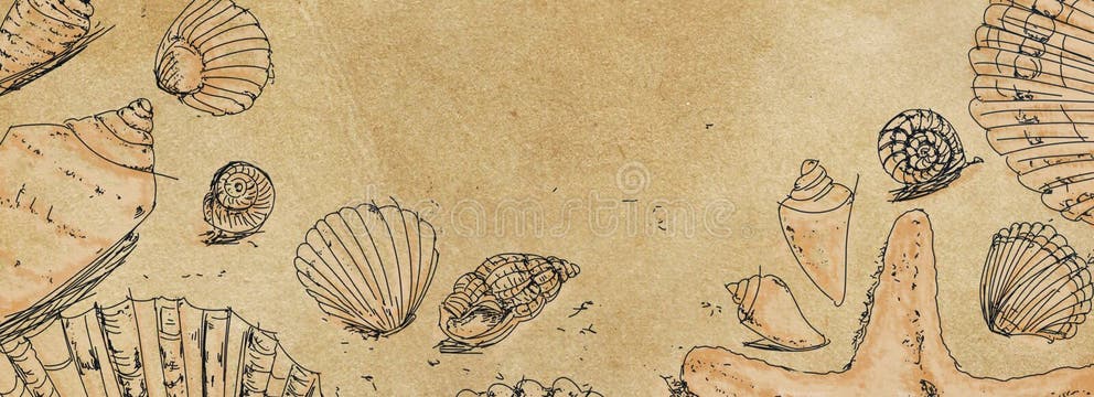 Banners Templates with Drawings of Shells Stock Illustration ...