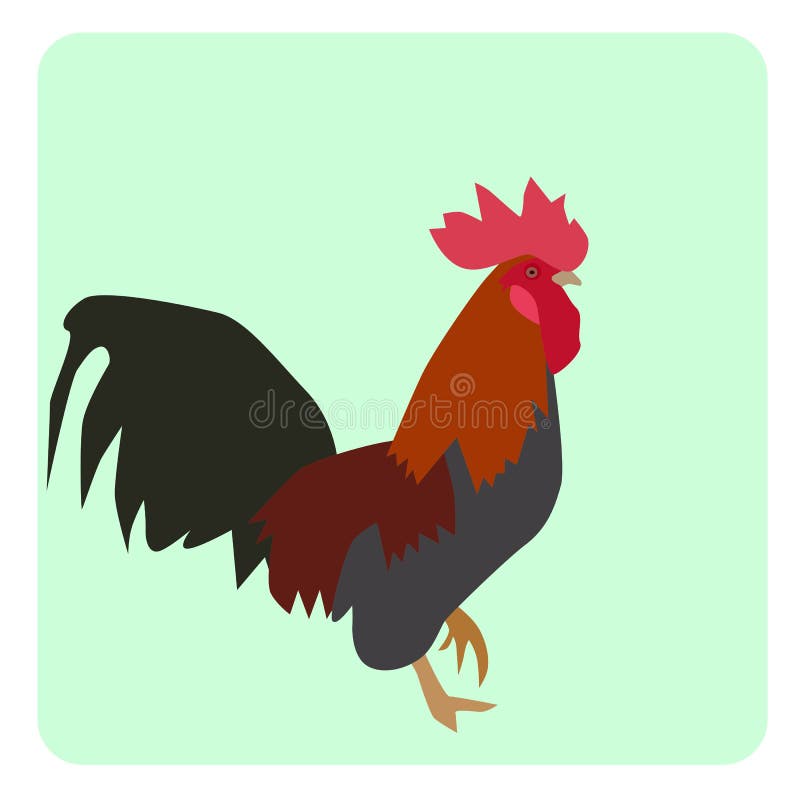 Bantam Stock Illustrations – 2,097 Bantam Stock Illustrations, Vectors ...