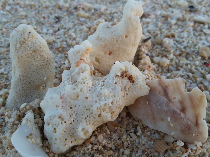 Bantayan Island stock image. Image of great, bantayan - 89021901