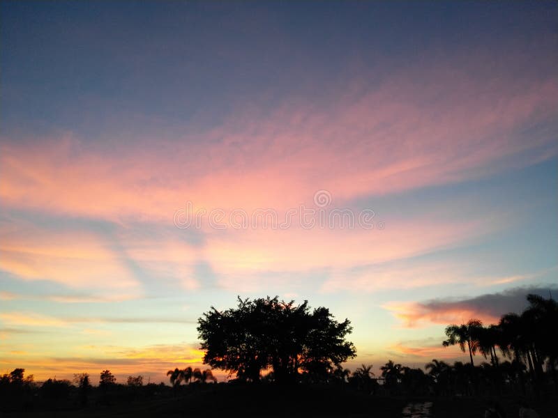 Banyan stock image. Image of tree, dusk, banyan, orange - 147965321