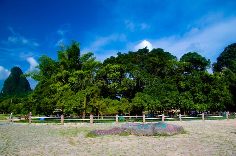 Banyan tree editorial stock image. Image of legoland - 87678744