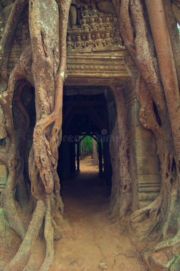 Entrance Stone Path from Ta Som Temple. Angkor Wat Stock Photo - Image ...