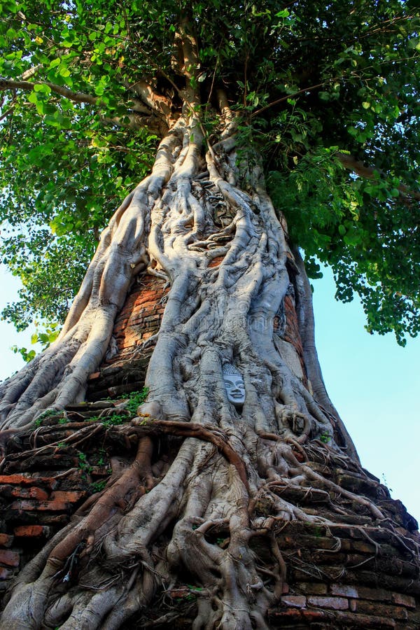 Pagoda Ayutthaya Thailand stock image. Image of temple - 57588951