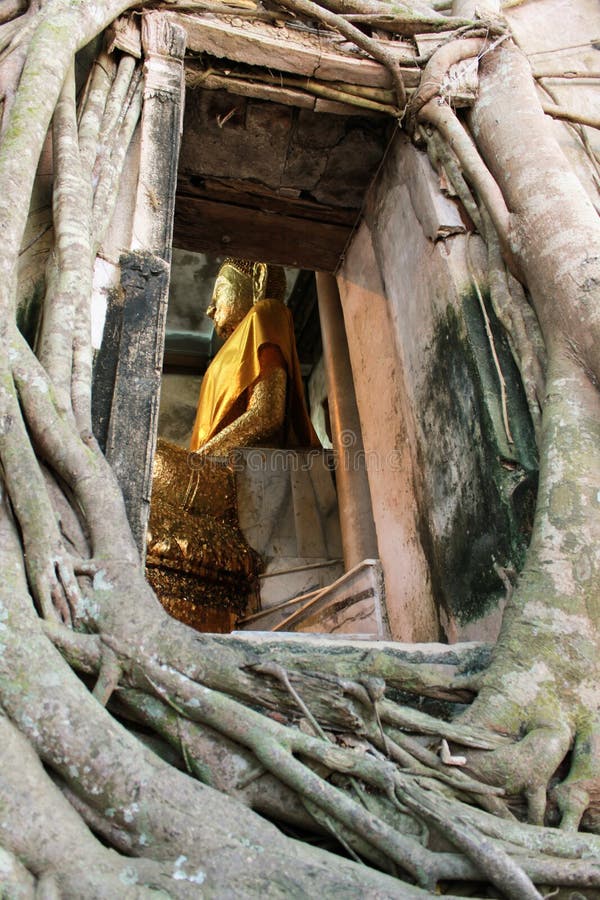 The Banyan Tree Temple stock photo. Image of history - 45808766