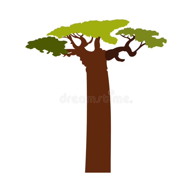 Baobab tree icon cartoon stock vector. Illustration of boab - 88449972