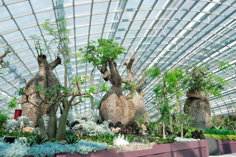 Baobab Trees in Gardens by the Bay Singapore Stock Photo - Image of ...