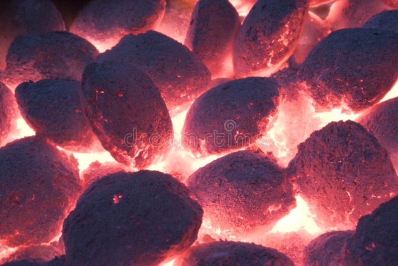 Bar B Q 3 stock image. Image of heat, fire, food, warmth - 200451