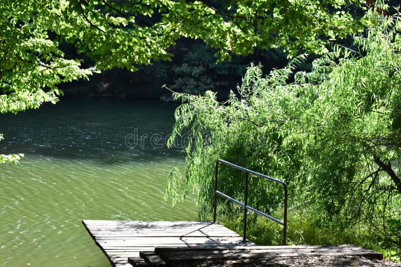 Bar board near the trees. stock image. Image of wood - 154258085