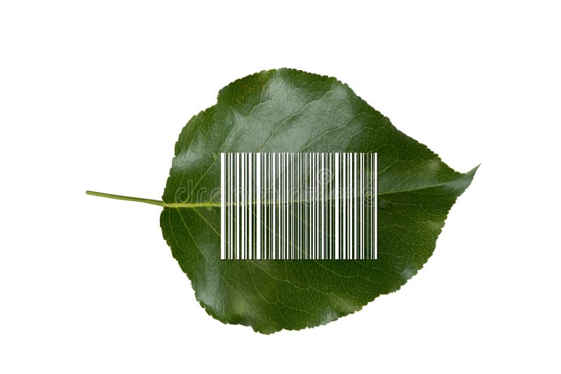 Bar code on green leaf stock photo. Image of concept - 31072328