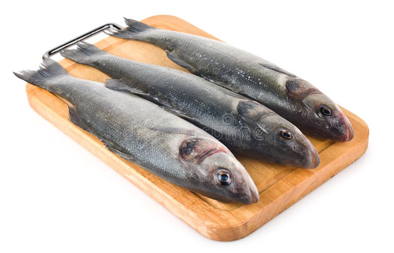 Bar de mer de poisson cru image stock. Image du européen - 31454097