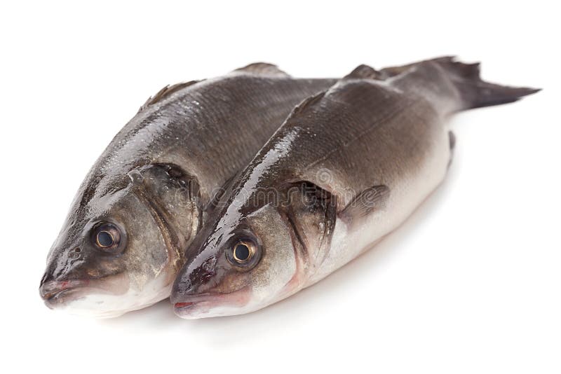 Bar De Mer De Poisson Cru Avec Le Citron Et Le Persil D'isolement Sur ...