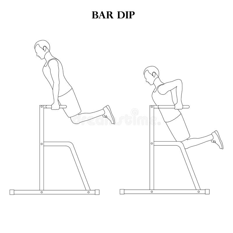 Bar Dip Exercise Strength Workout Vector Illustration Outline Stock ...