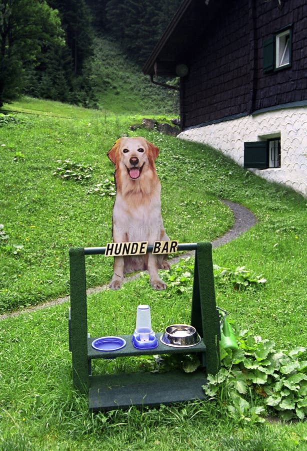 Bar for Dogs stock photo. Image of mountain, water, food - 2840758