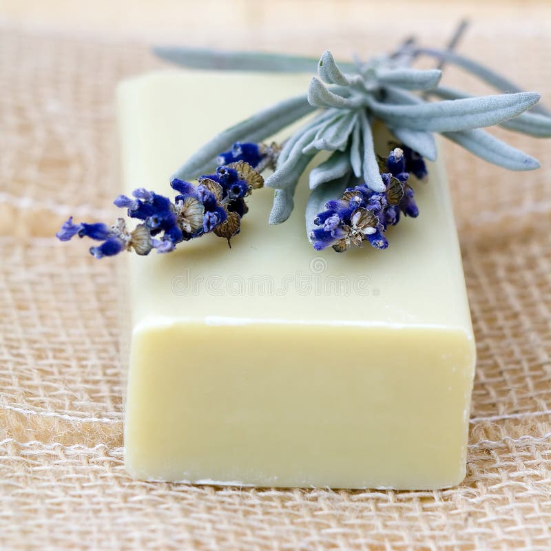 Bar of natural soap stock image. Image of toiletries - 13857609