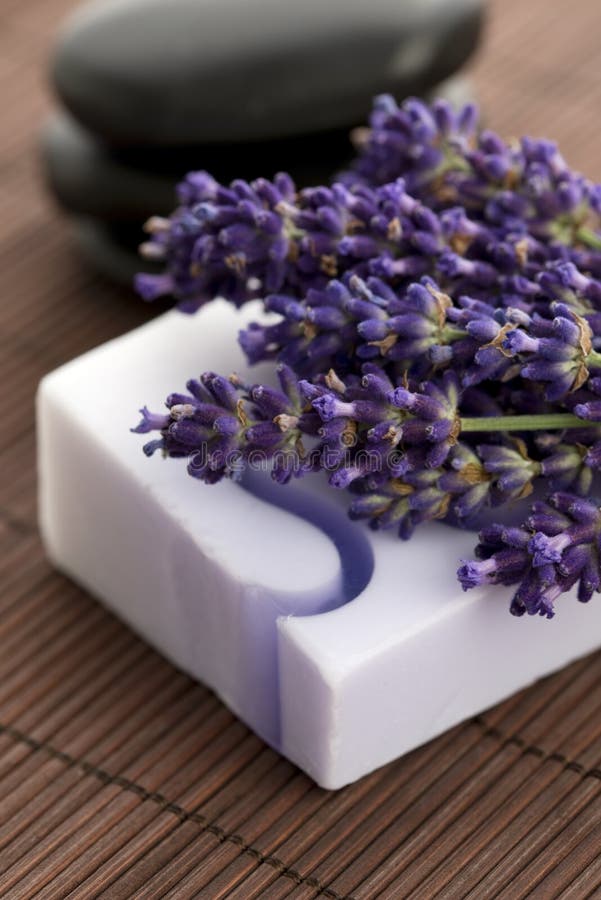 Bar of Natural Soap and Lavender Stock Image - Image of lavender, macro ...