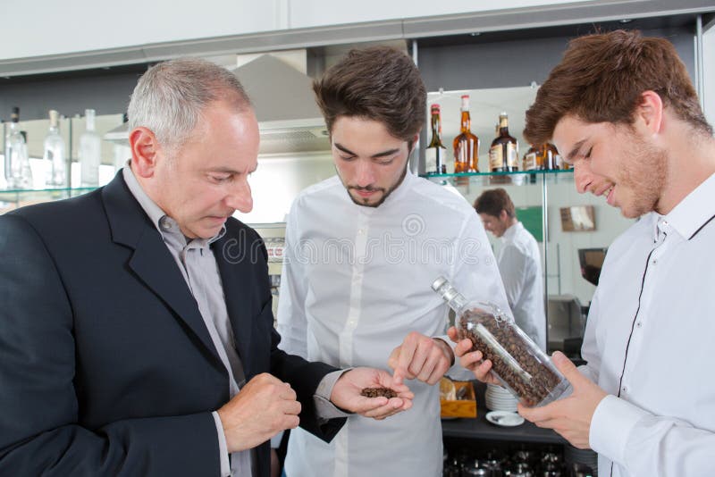 Bar Staff Looking at Coffee Beans Stock Photo - Image of inspect ...