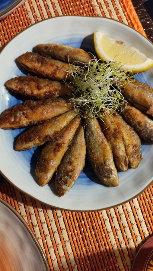 Black Sea Barabulka Stock Photos - Free & Royalty-Free Stock Photos ...