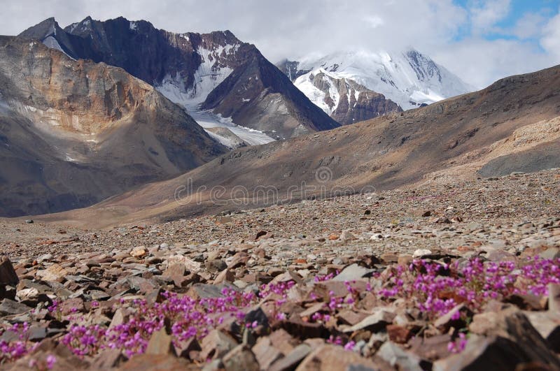 Baralacha Pass In The Himalayas Stock Image - Image of lahaul, pradesh ...