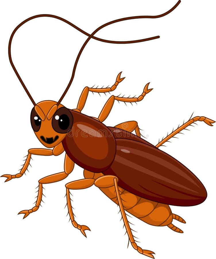 Desenhos Animados Da Barata Ilustração do Vetor - Ilustração de besouro ...