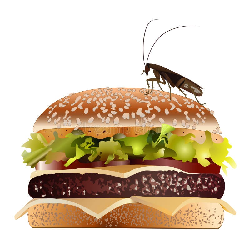 Barata Ilustrações, Vetores E Clipart De Stock – (10,848 Stock ...