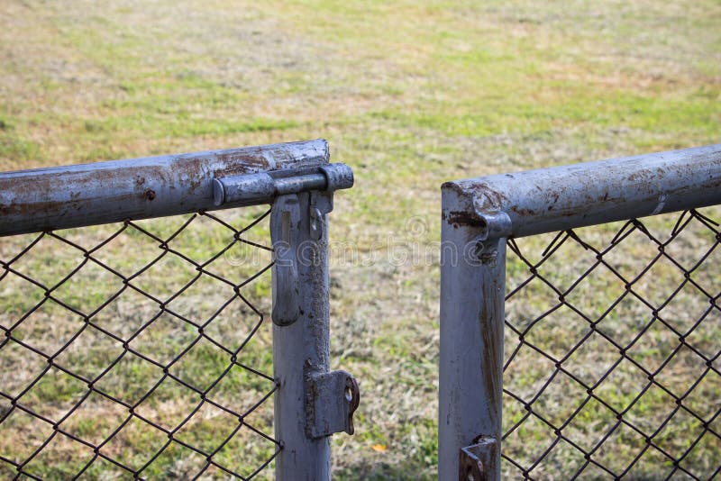 A barb and net stock photo. Image of blue, beautiful - 61571984