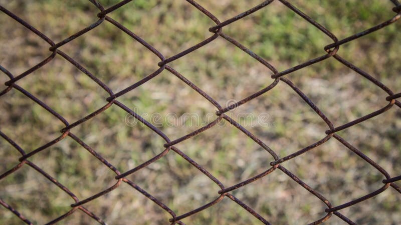A barb and net stock image. Image of fresh, exterior - 61572877