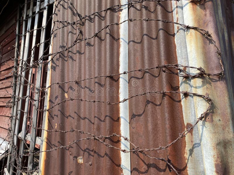 Barb on Old Rusty Zinc Wall Stock Photo - Image of protection, retro ...
