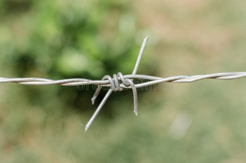 Barb Tine Spike Stock Photos - Free & Royalty-Free Stock Photos from ...