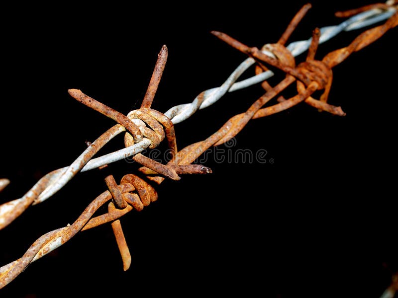 Barb wire 2 stock photo. Image of lens, border, barbwire - 4211388