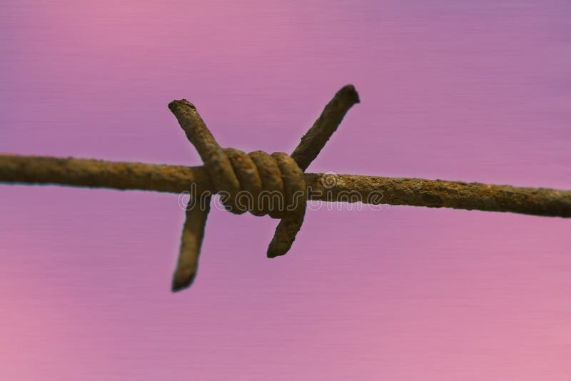 Barb wire stock image. Image of prevent, iron, prison - 3189037