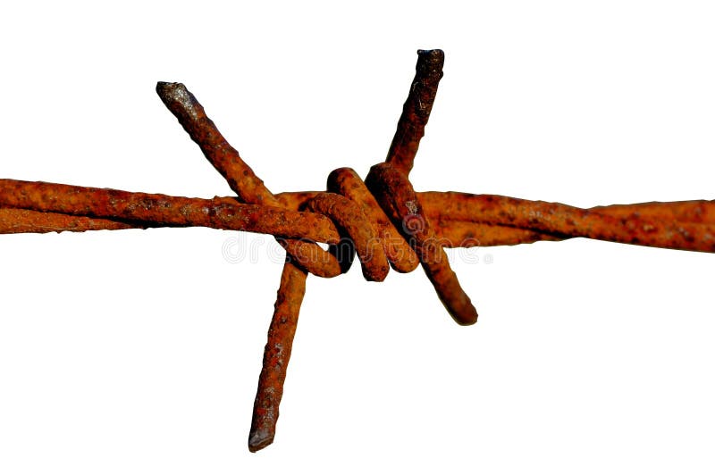 Barb wire stock image. Image of criminals, protection, barbed - 502385