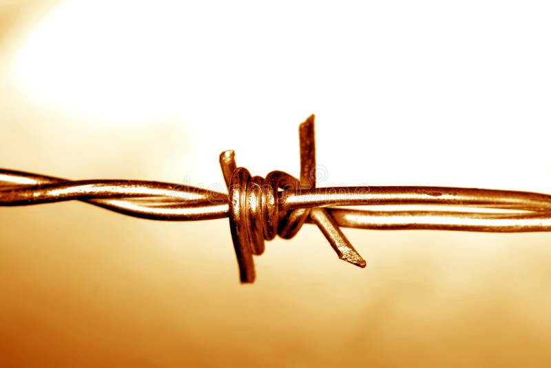 Barb wire stock photo. Image of close, point, secure, fence - 5732648