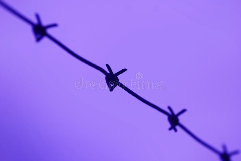 Barb wire stock image. Image of private, macro, danger - 7341893