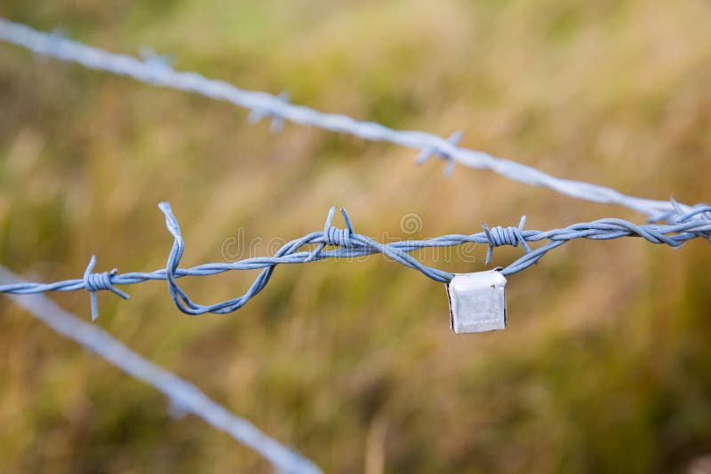 Barb Wire Country Fence stock image. Image of barbed - 38209709