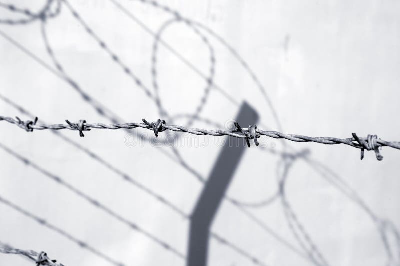 Barb wire fence protection stock photo. Image of barrier - 25572346
