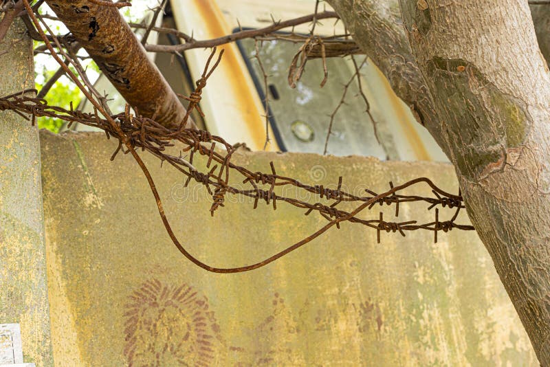 Barb Wire Focus on Yellow Wall and Tree Stock Photo - Image of barb ...