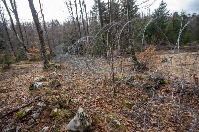 Barb wire in the forest stock image. Image of protection - 166017145