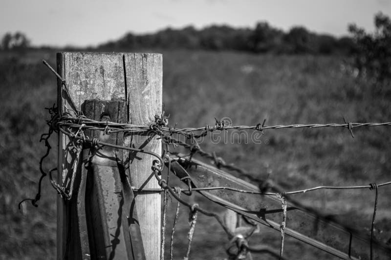 Barb wire stock photo. Image of field, landscape, farm - 78621930