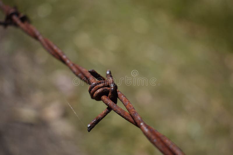 Rusty Barbed Wire Closeup Diagonal Stock Photo - Image of twisted ...