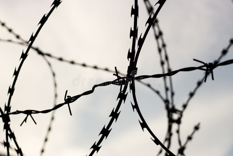 Barb Wire on Sky Background Stock Image - Image of barrier, background ...
