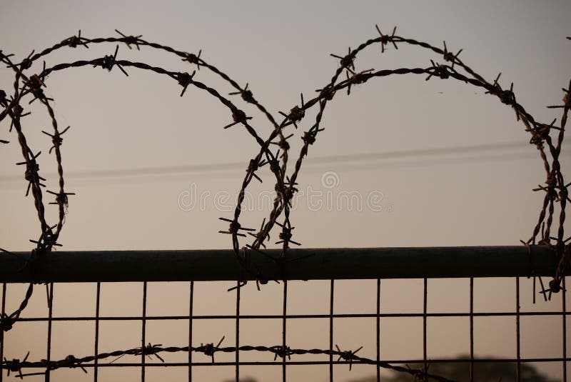 Barb wire stock photo. Image of design, close, barbed - 50659072