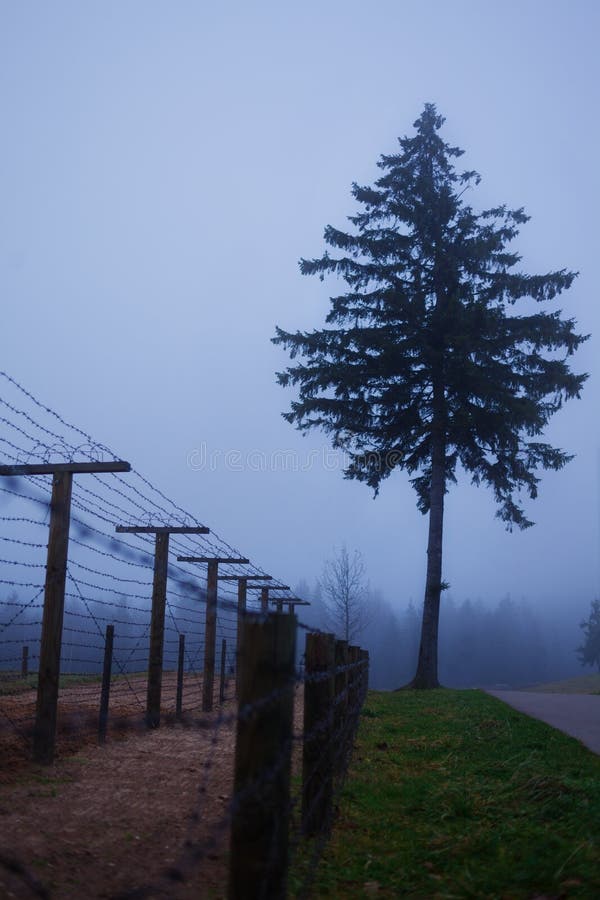 Barb Wire in WWII on the Border Stock Image - Image of camp, boundary ...