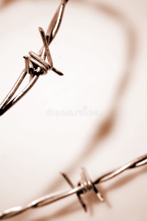 29+ Barb wires Free Stock Photos - StockFreeImages