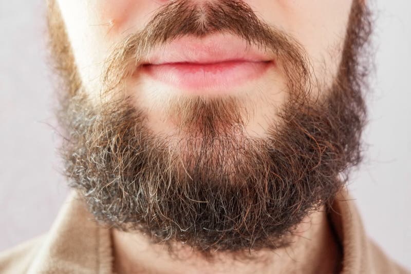 Barba. Imagem Recortada De Homens Barbudos Face a Cinza Imagem de Stock ...