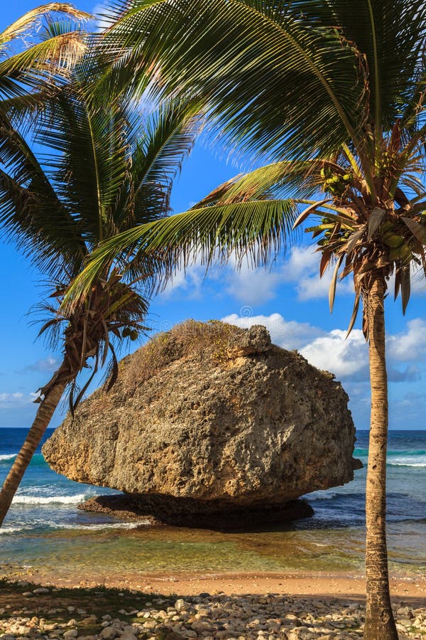 1,038 Barbados Rock Stock Photos - Free & Royalty-Free Stock Photos ...