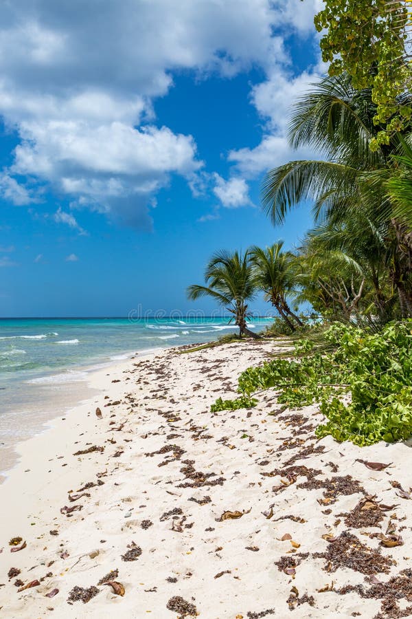 A Barbados Beach View stock photo. Image of horizon - 176440218